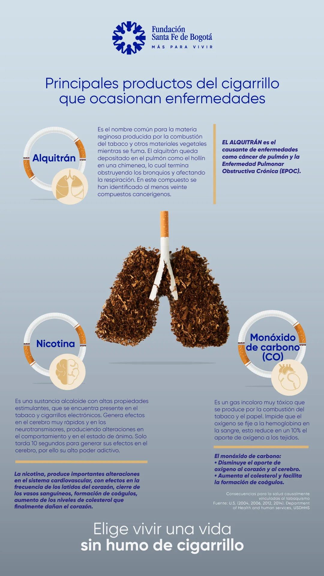 El cigarrillo convencional y sus efectos | Fundación Santa Fe de Bogotá